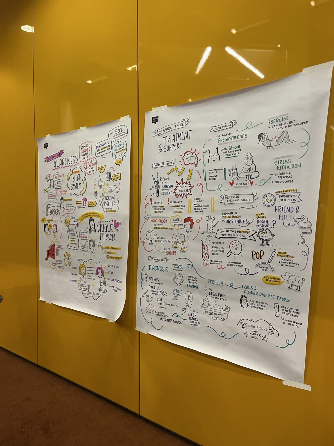 Endometriosis and Pelvic Pain Clinics - EMPHN