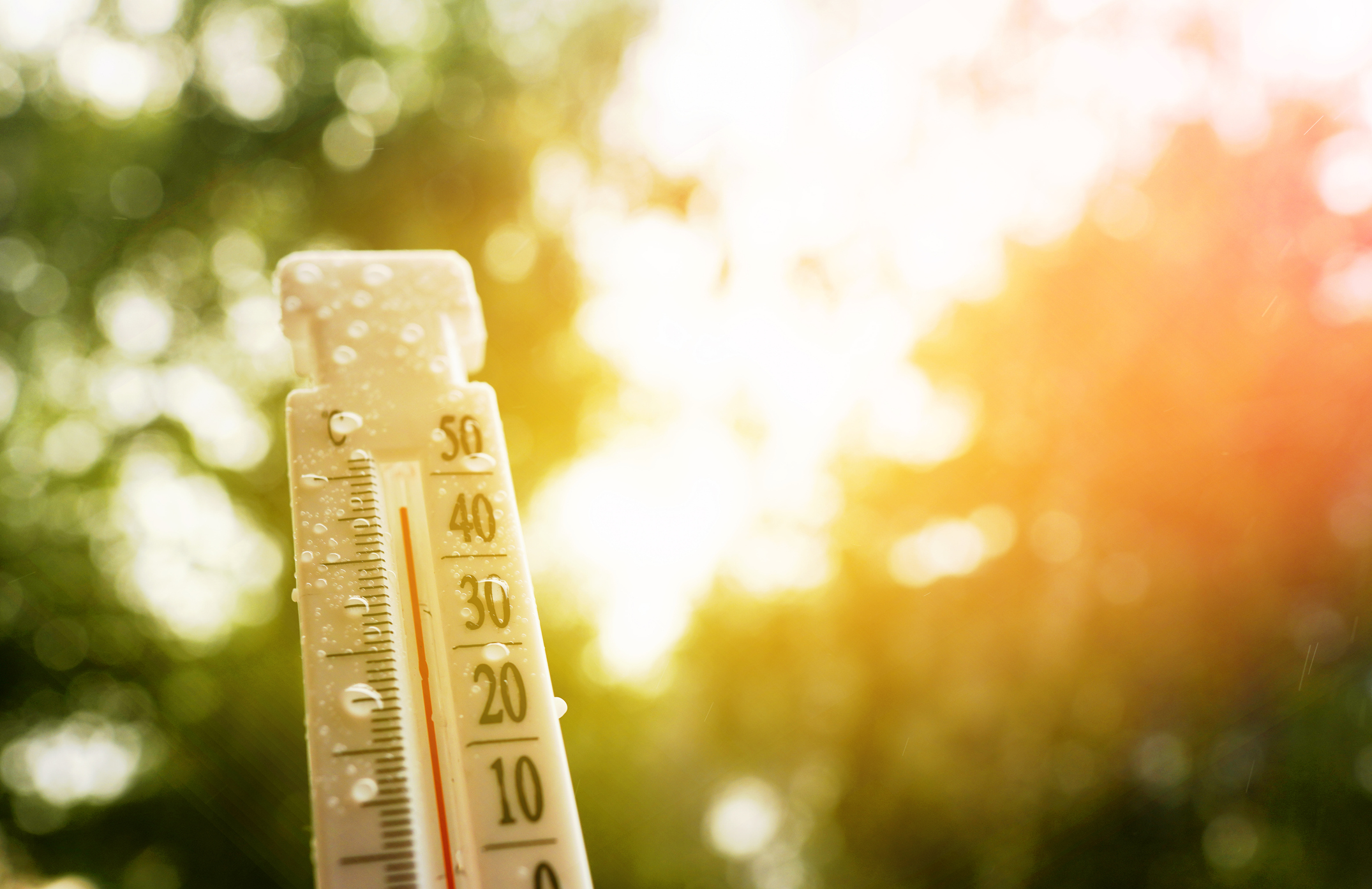 Extreme heat - information for health professionals - EMPHN